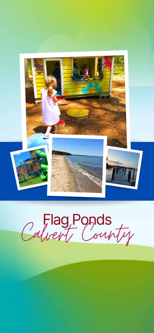 Flag Ponds Nature Park Day Trip Itinerary – Sunshine Whispers