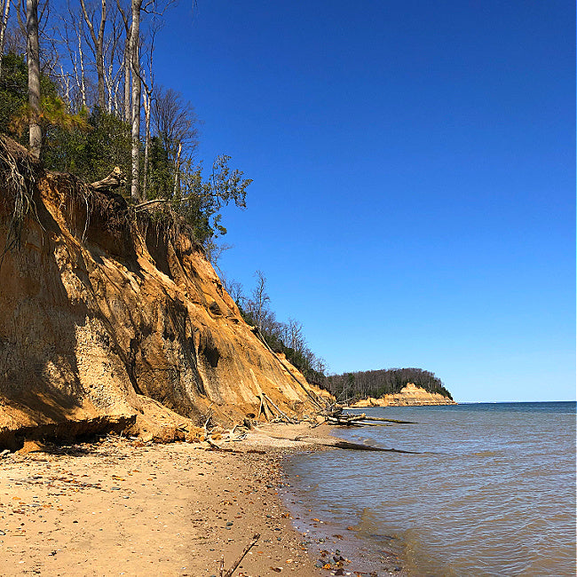 Calvert Cliffs Day Trip Itinerary – Sunshine Whispers