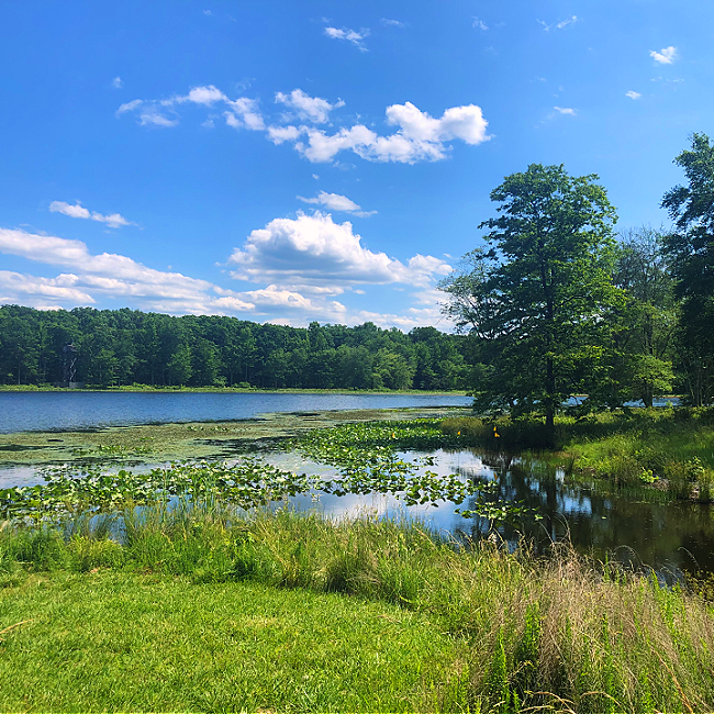 Patuxent Research Refuge Day Trip Itinerary – Sunshine Whispers