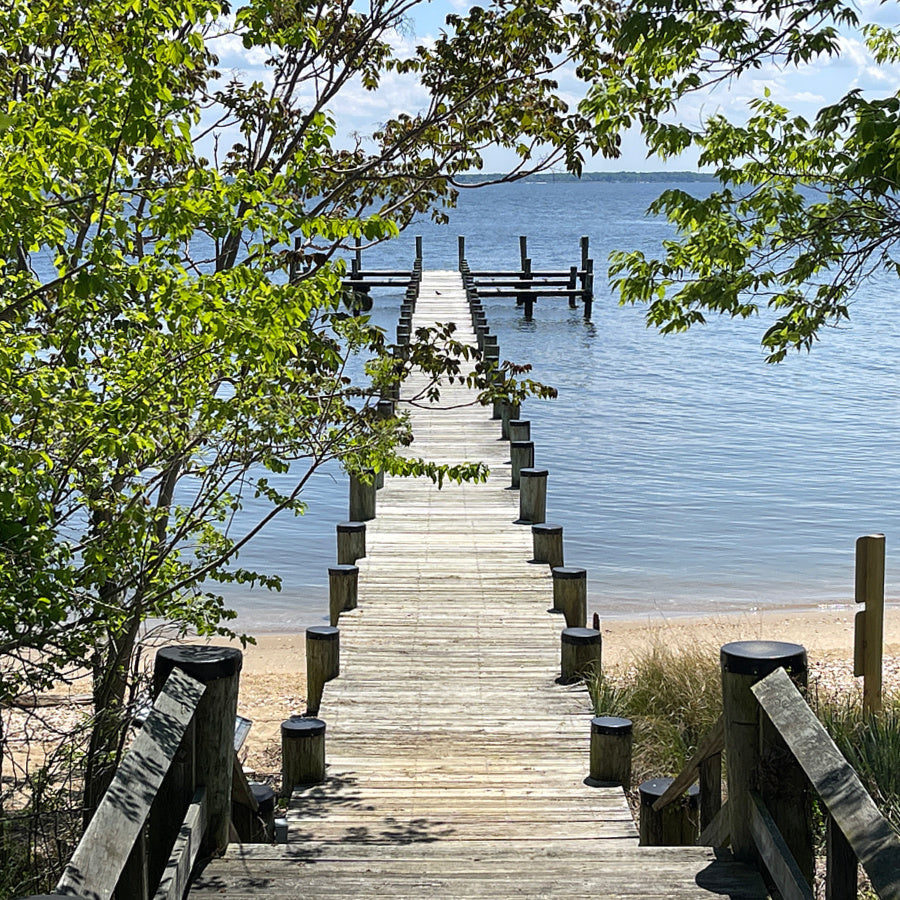 St. Clement's Island Day Trip Itinerary – Sunshine Whispers